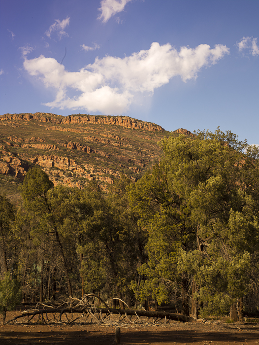 Flinders Range | Robert Goodlad Fine Art