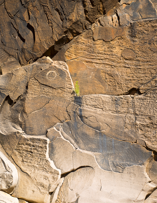 Flinders Range | Robert Goodlad Fine Art