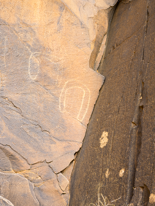 Flinders Range | Robert Goodlad Fine Art